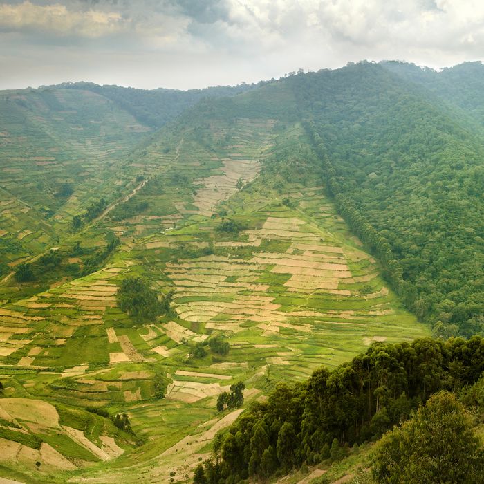 Voyages en Afrique de l'Est : Kenya - Tanzanie - Zanzibar - Ouganda ...